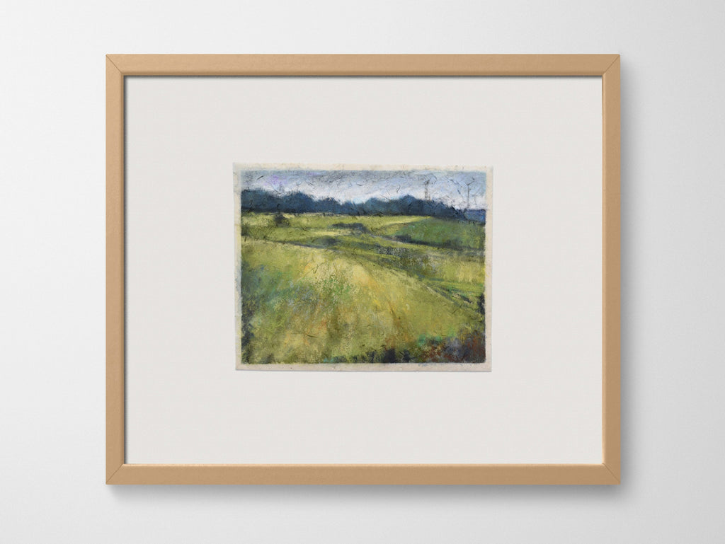 Section #1 - Field Patterns Summer – Julia Brown